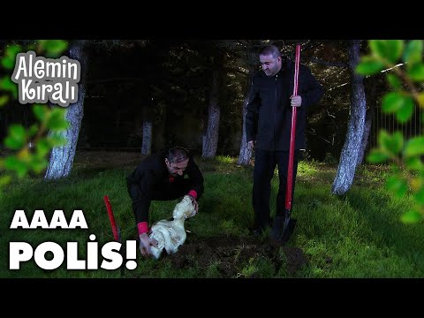 Aslan ve Kubat'a polis baskını! - Alemin Kralı 63. Bölüm
