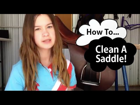 How To Clean Your Saddle - YouTube