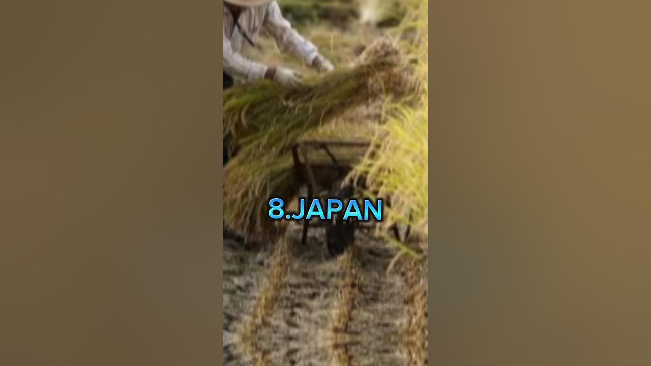 Top Agricultural Producing Countries In World china YouTube top-agricultural-producing-countries-in-world-china-youtube