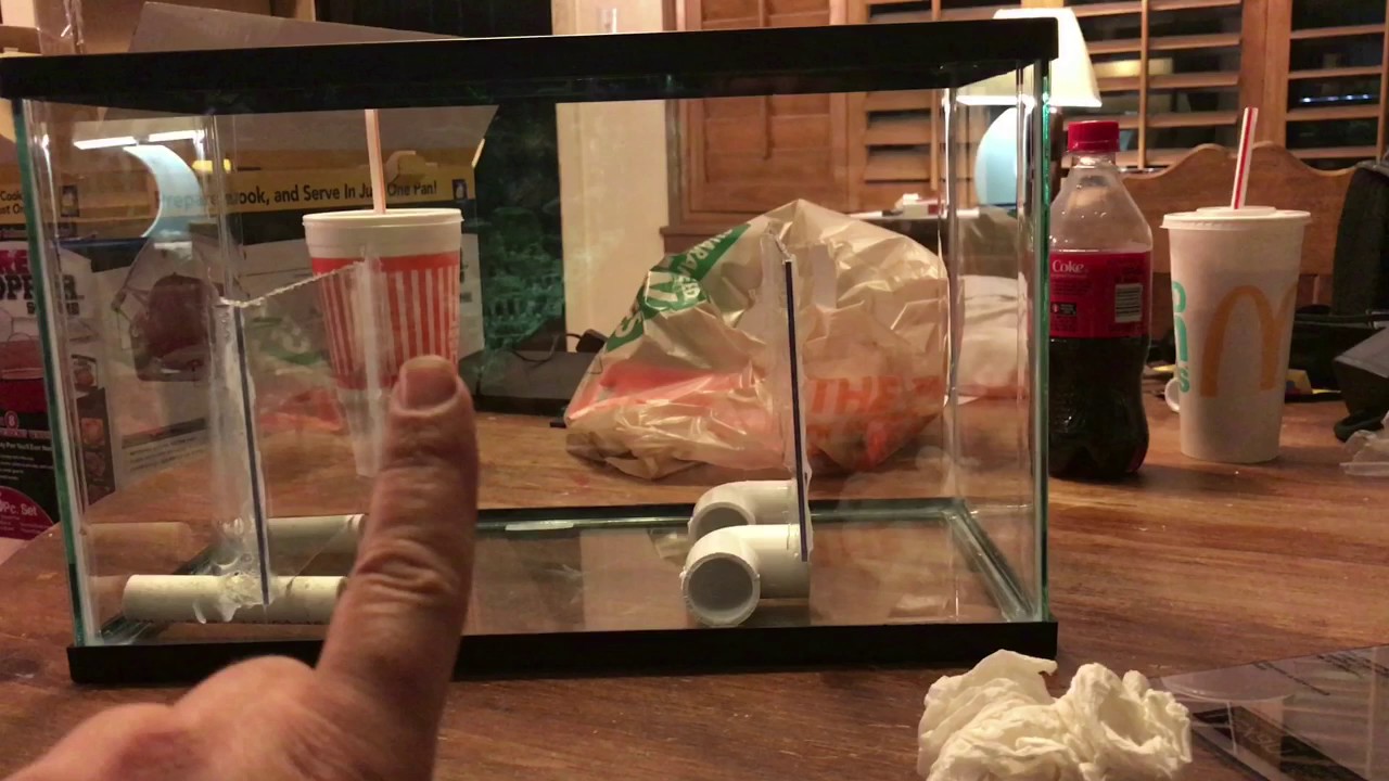 DIY Refugium Sump For My Saltwater Nano Biocube - YouTube