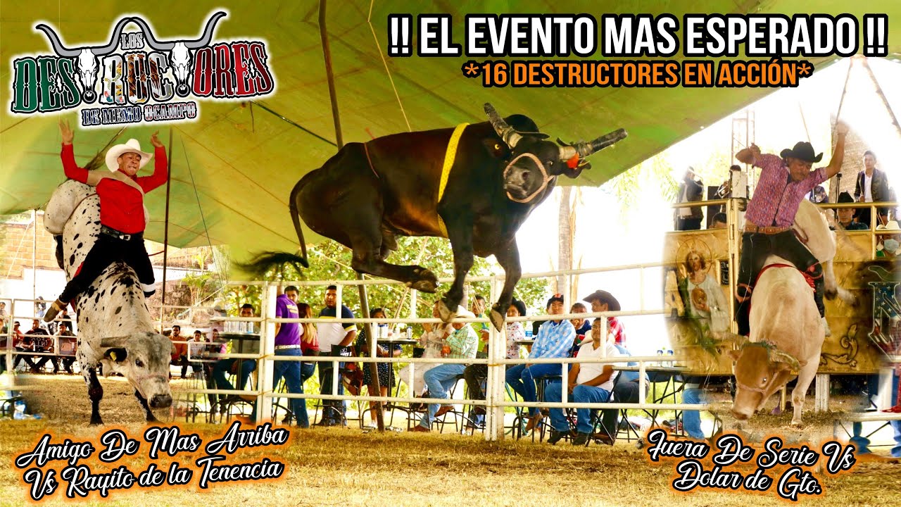 !!El EVENTO Mas ESPERADO!! Vaya MONTAS Del Dolar Y Rayito | 16 ...