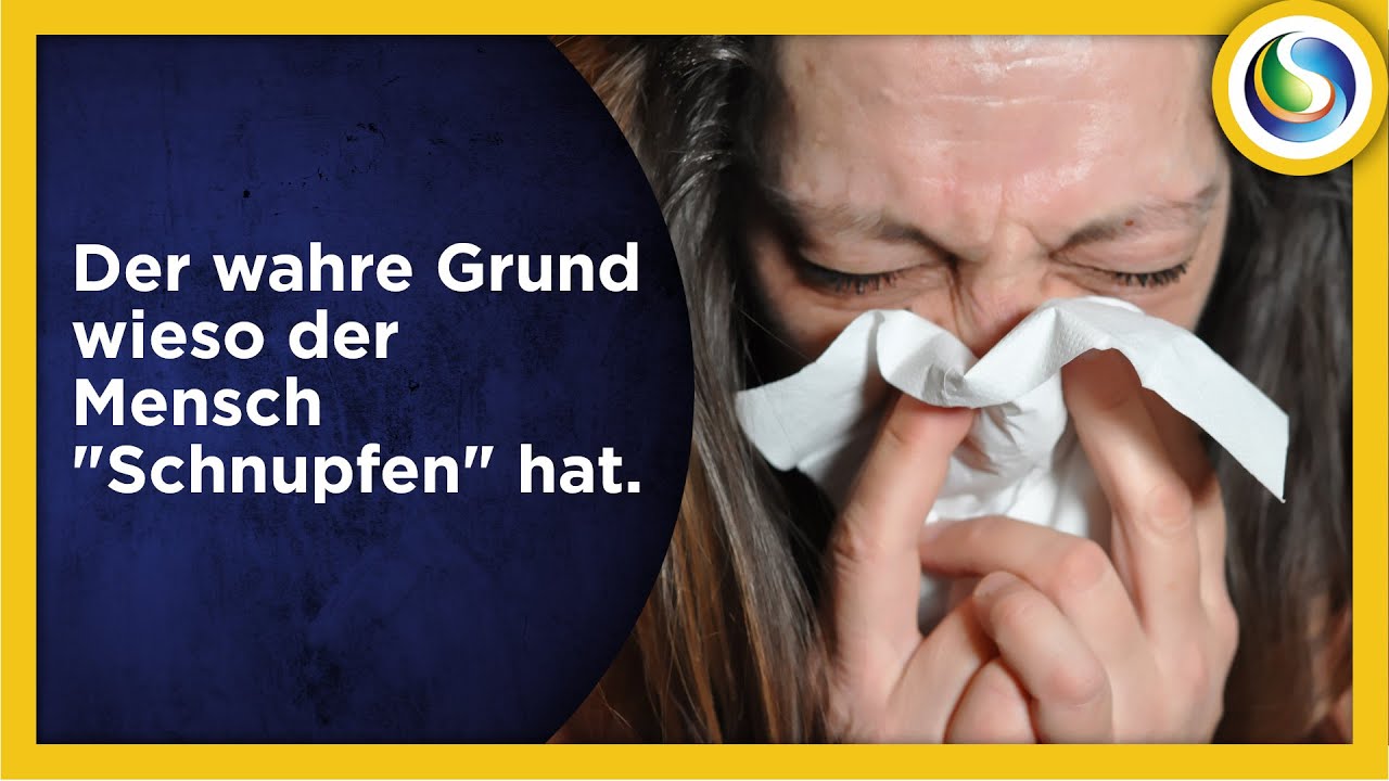 Der wahre Grund wieso der Mensch Schnupfen hat - YouTube