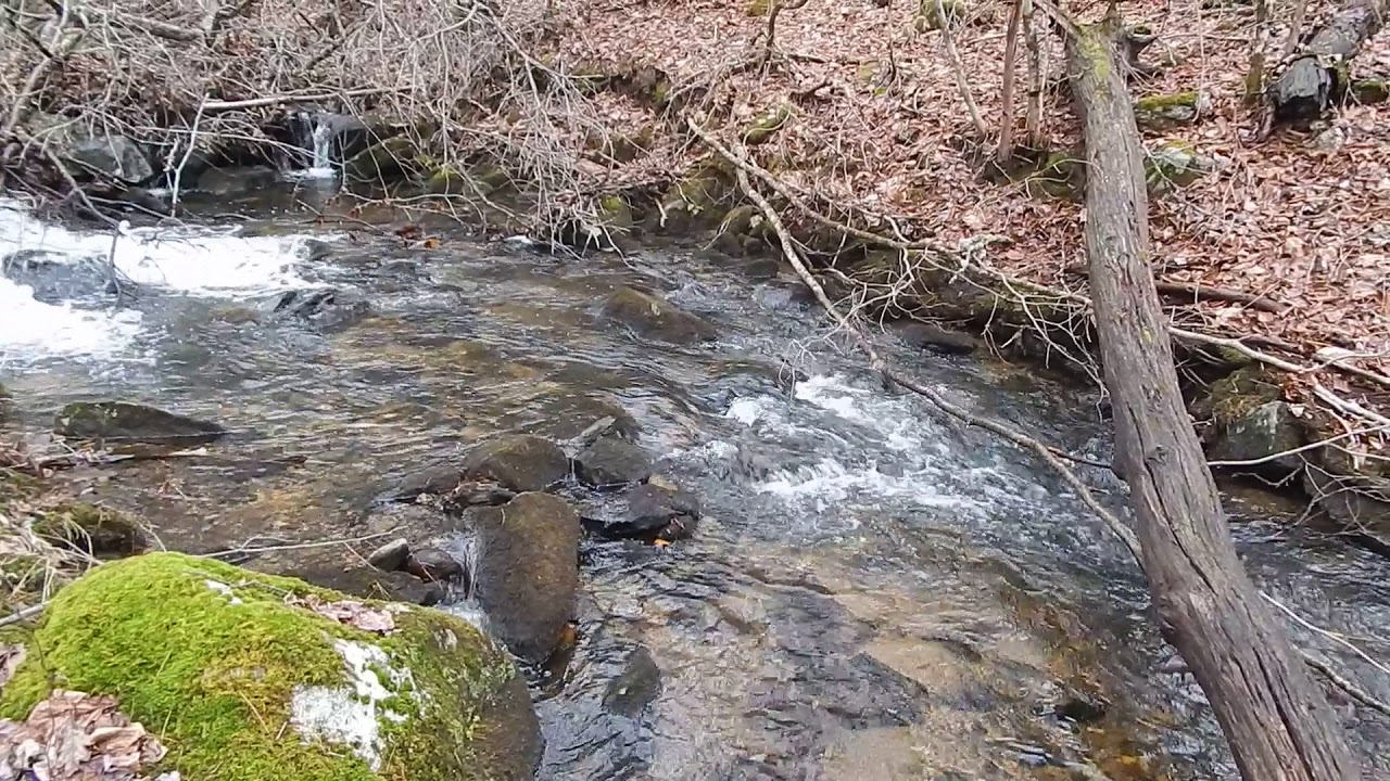 A Connecticut Mountain Freestone Stream - YouTube