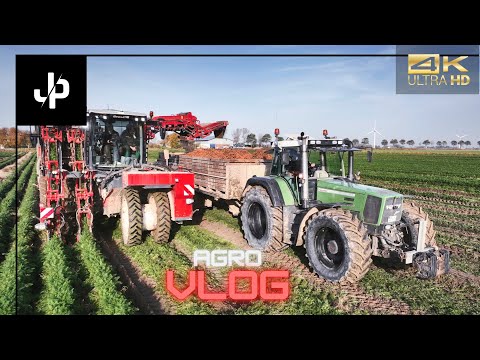 Möhren Ernte 2022 wie geht das? Fendt/Case Agrovlog #13 ||  JP Agrar