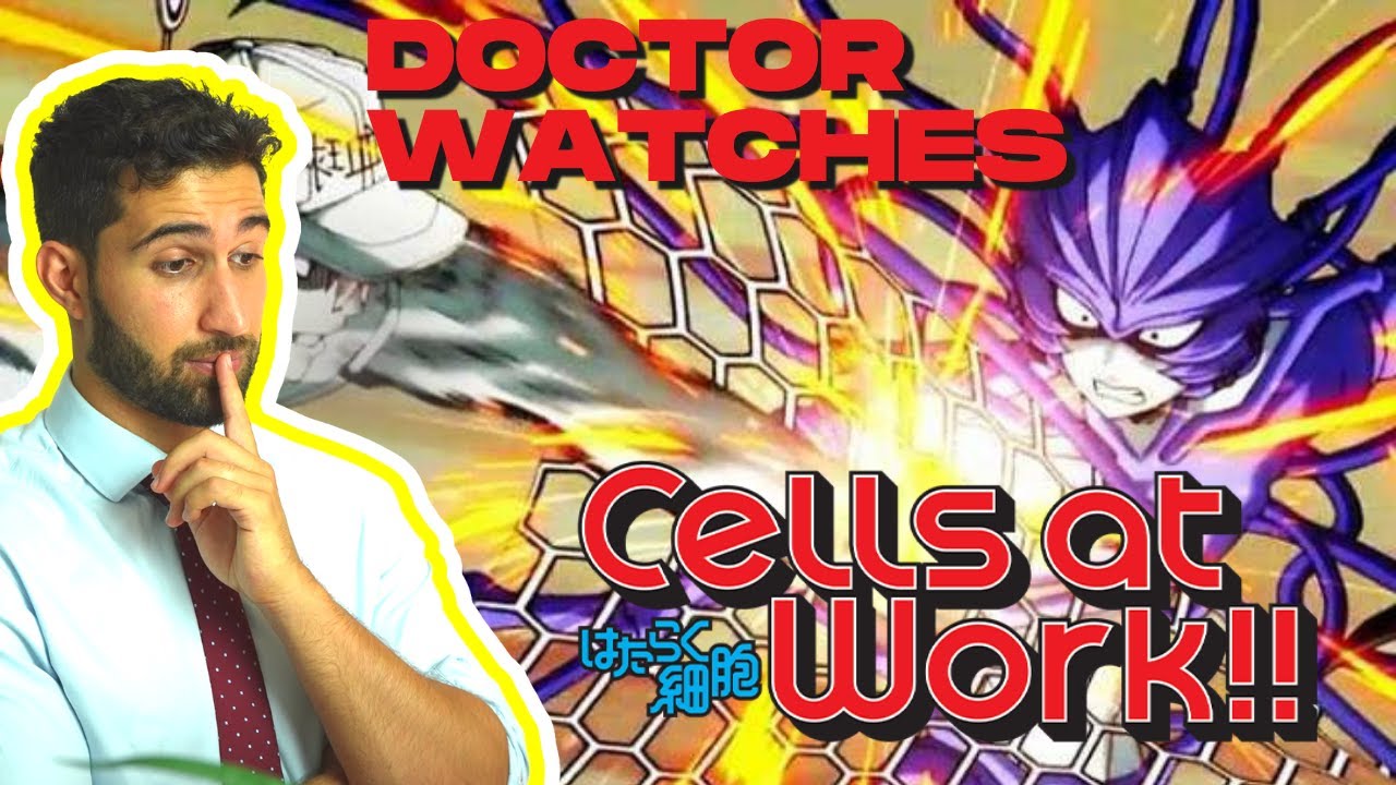 British Doctor Reacts to Cells At Work Season 1 Episode 1 [2023] - YouTube