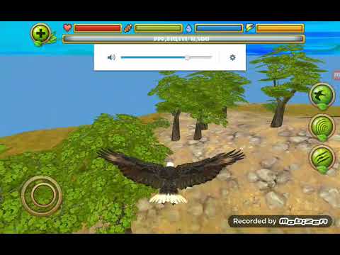 Eagle Simulator game eagle hunting animals - YouTube