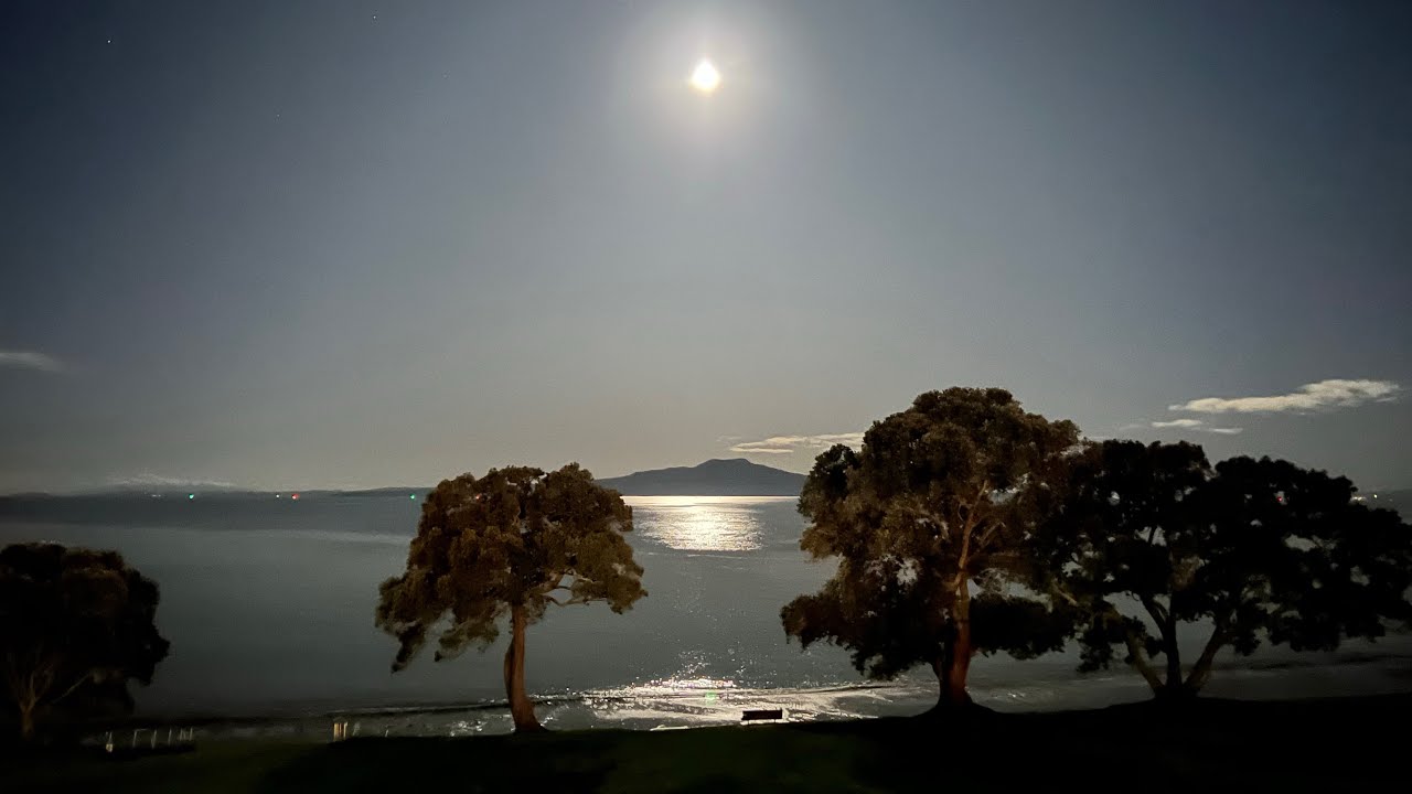 Mesmerised by the beauty of the moonlight| Why does the moonlight scene ...