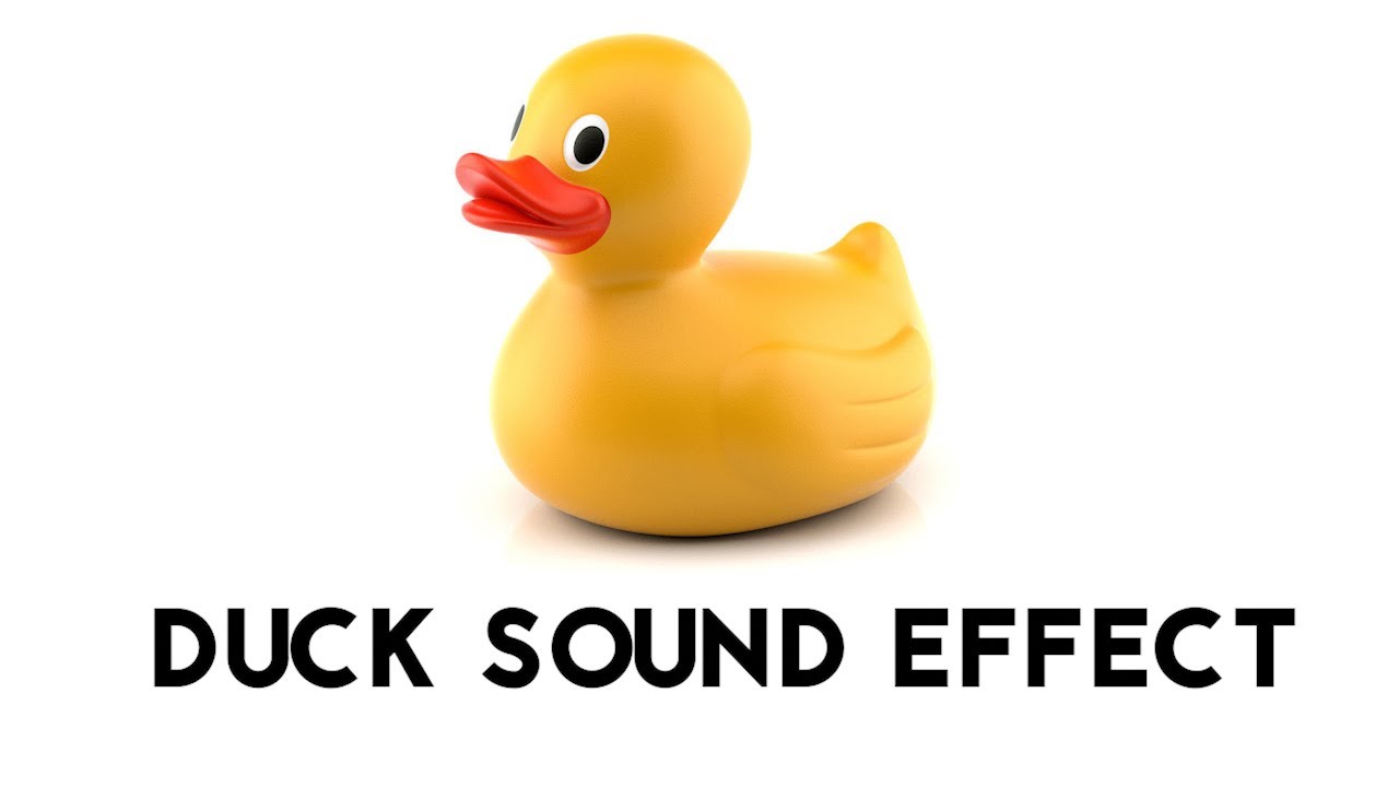 Toy Duck Sound Effect | Best Quality | The Effects Shop | - YouTube