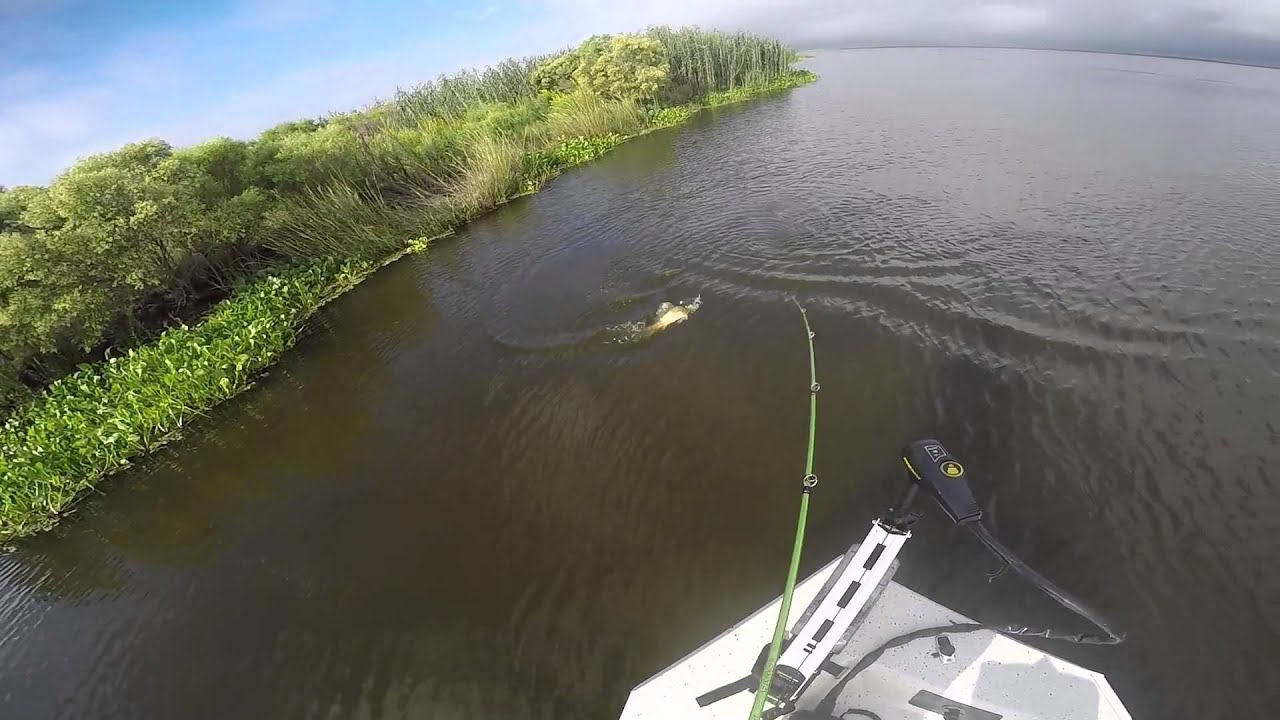 Catching Redfish in Raccourci Bay in Dularge, Louisiana... Salt Strong ...