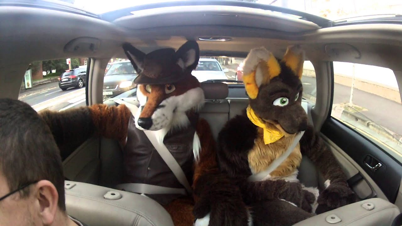 Glebe Furry Photoshoot - Homeward Bound - YouTube