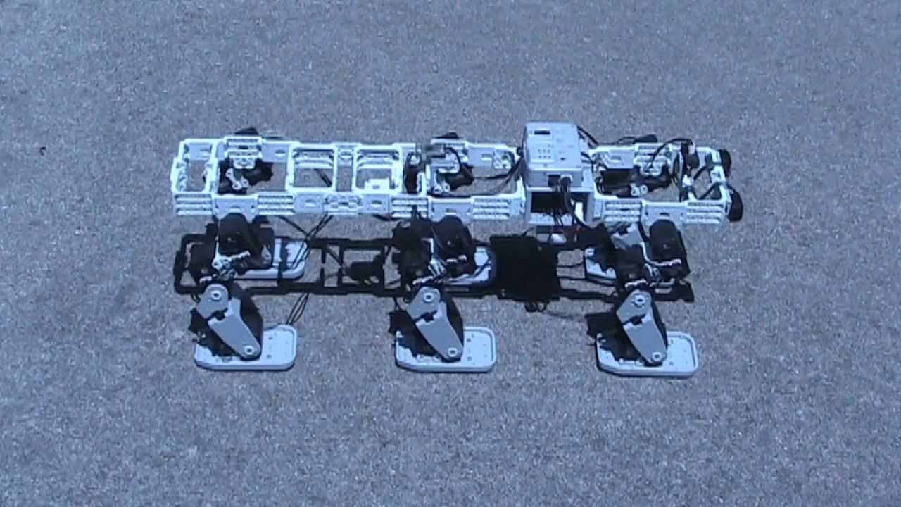 Bioloid 6 Legged Walker - YouTube