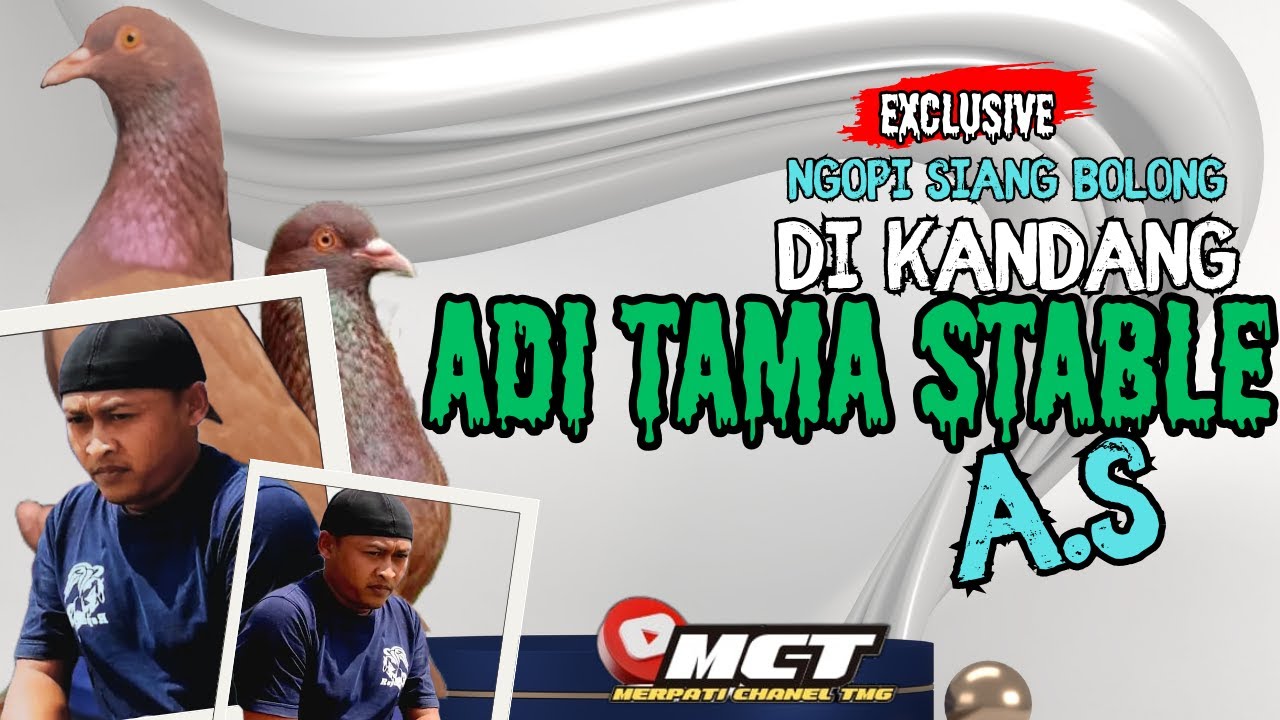 🔴DOLAN KANDANG TEAM ADI TAMA SIANG BOLONG ‼ ADA APA ..?? - YouTube