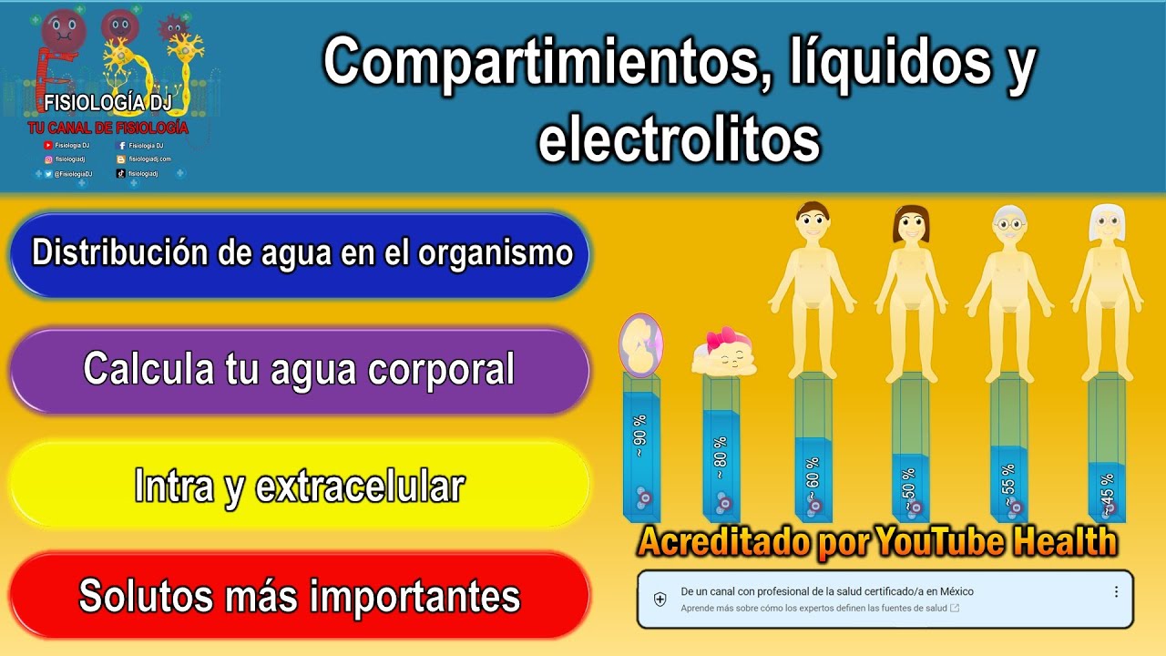 Líquidos y electrolitos fisiología | Líquidos y compartimentos ...