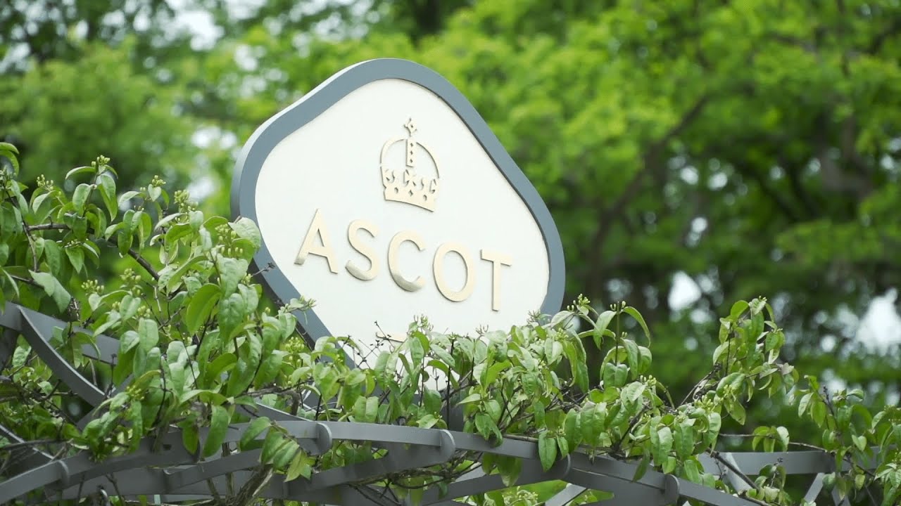 An American Dream: The Return to Royal Ascot - Episode 1 - YouTube