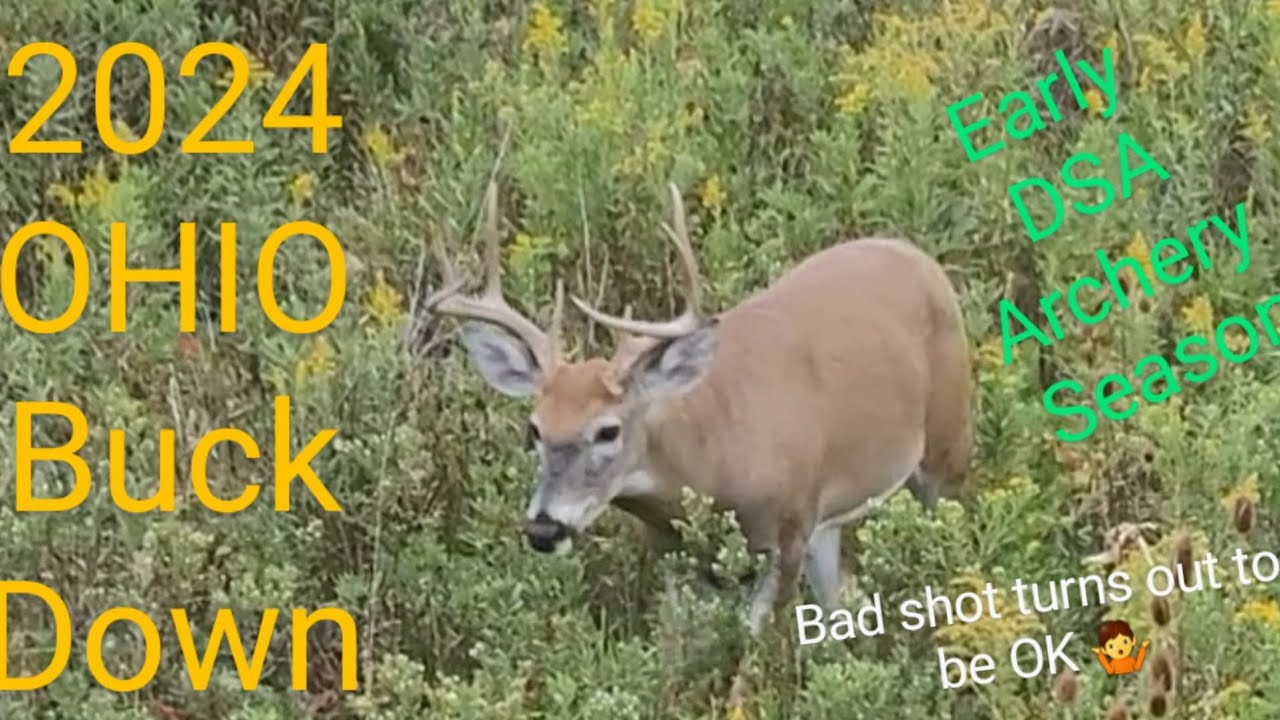 2024 OHIO Buck Down | Early DSA Archery Season | Bad Shot Good Outcome ...