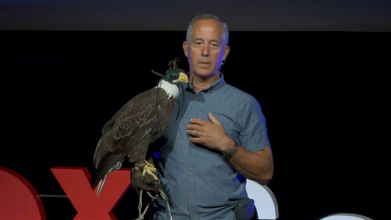 How animals and humans decide to trust | Steve Hein | TEDxSavannah ...