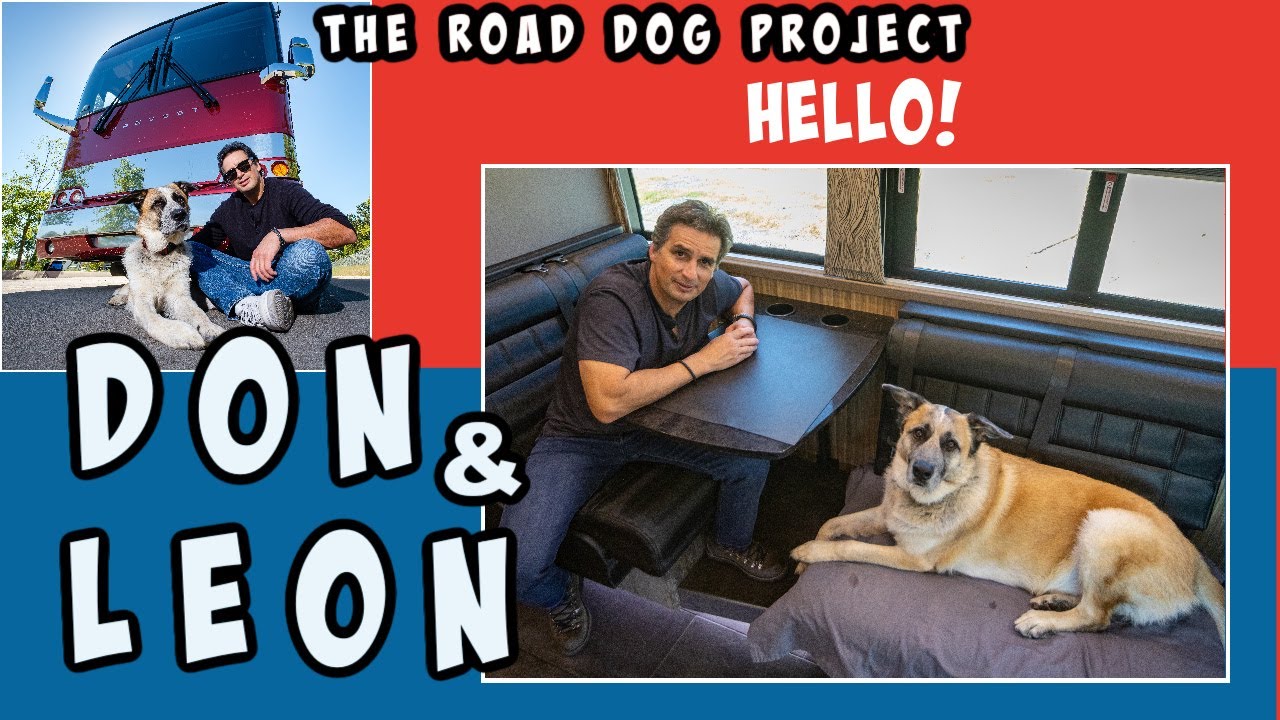 THE ROAD DOG PROJECT - CONCERT TOURING PROFESSIONALS PODCAST - YouTube