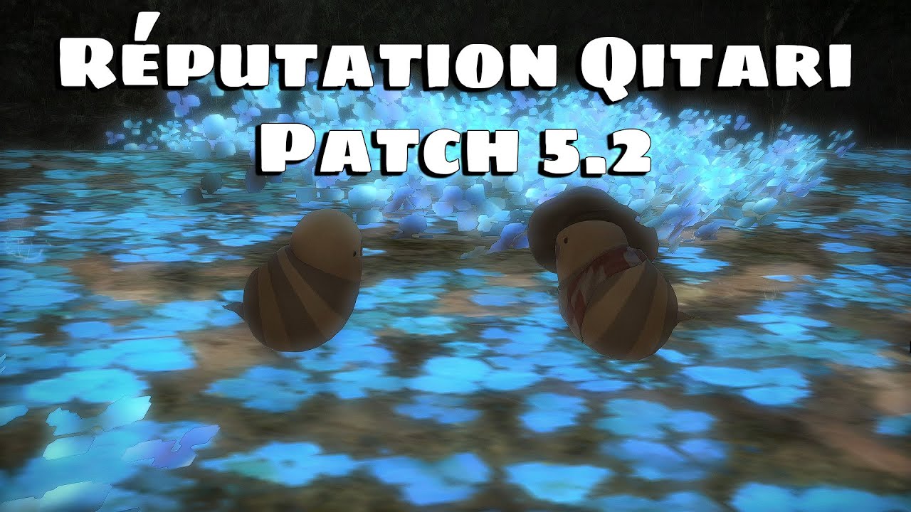 Final Fantasy XIV - Réputation Qitari - Comment débloquer & Récompenses ...