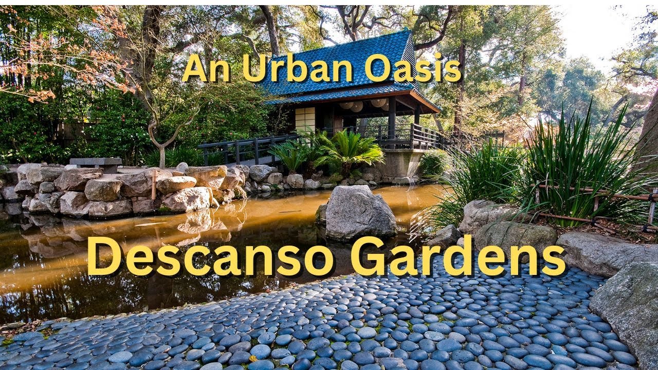 Visit the beautiful Descanso Gardens - YouTube