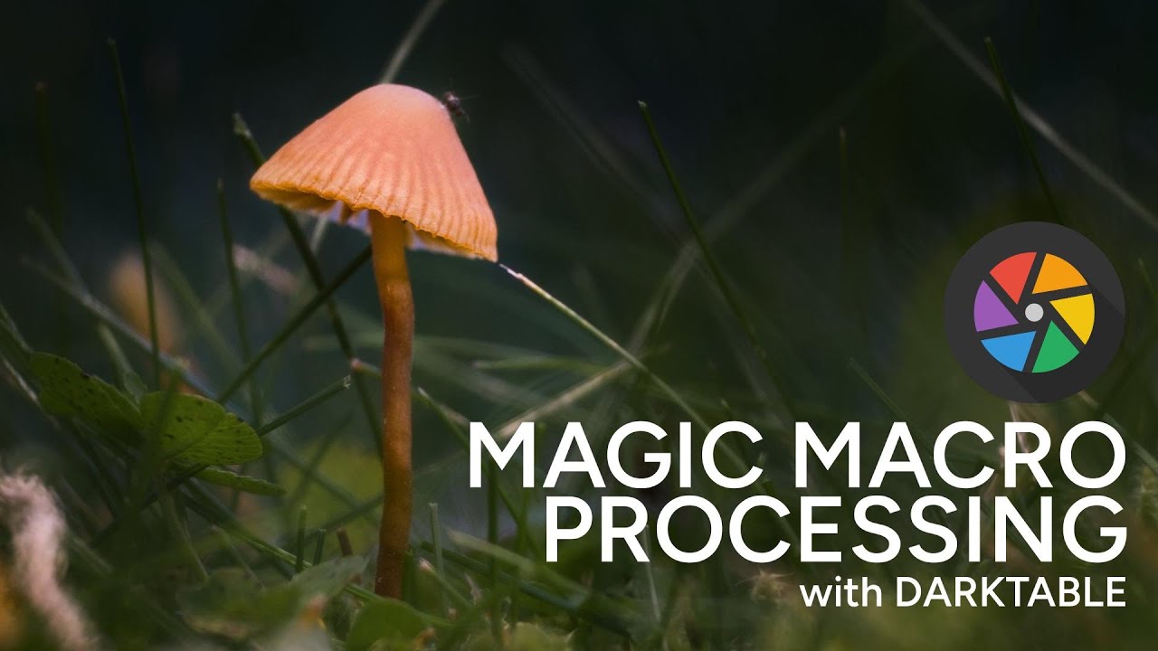 Magic Macro Processing Tutorial with Darktable 4.8 - YouTube