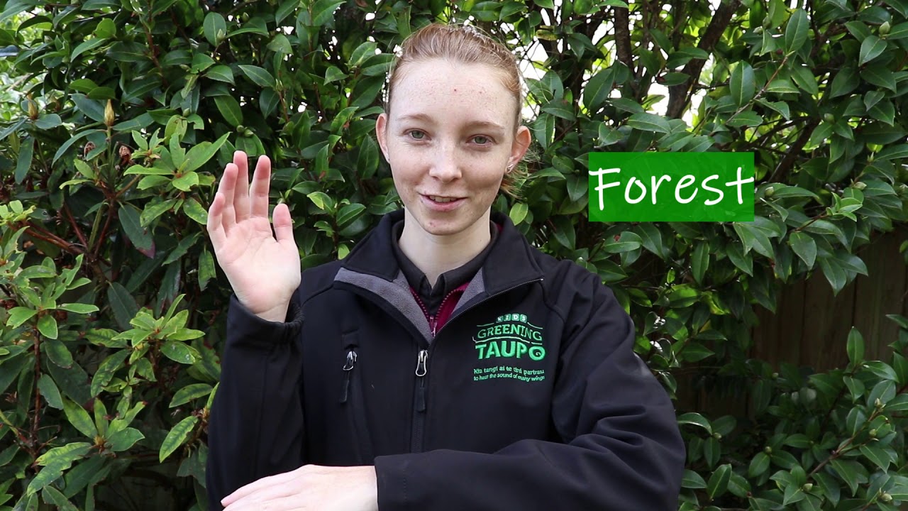 Environmental Signs in NZ Sign Language (NZSL) - YouTube