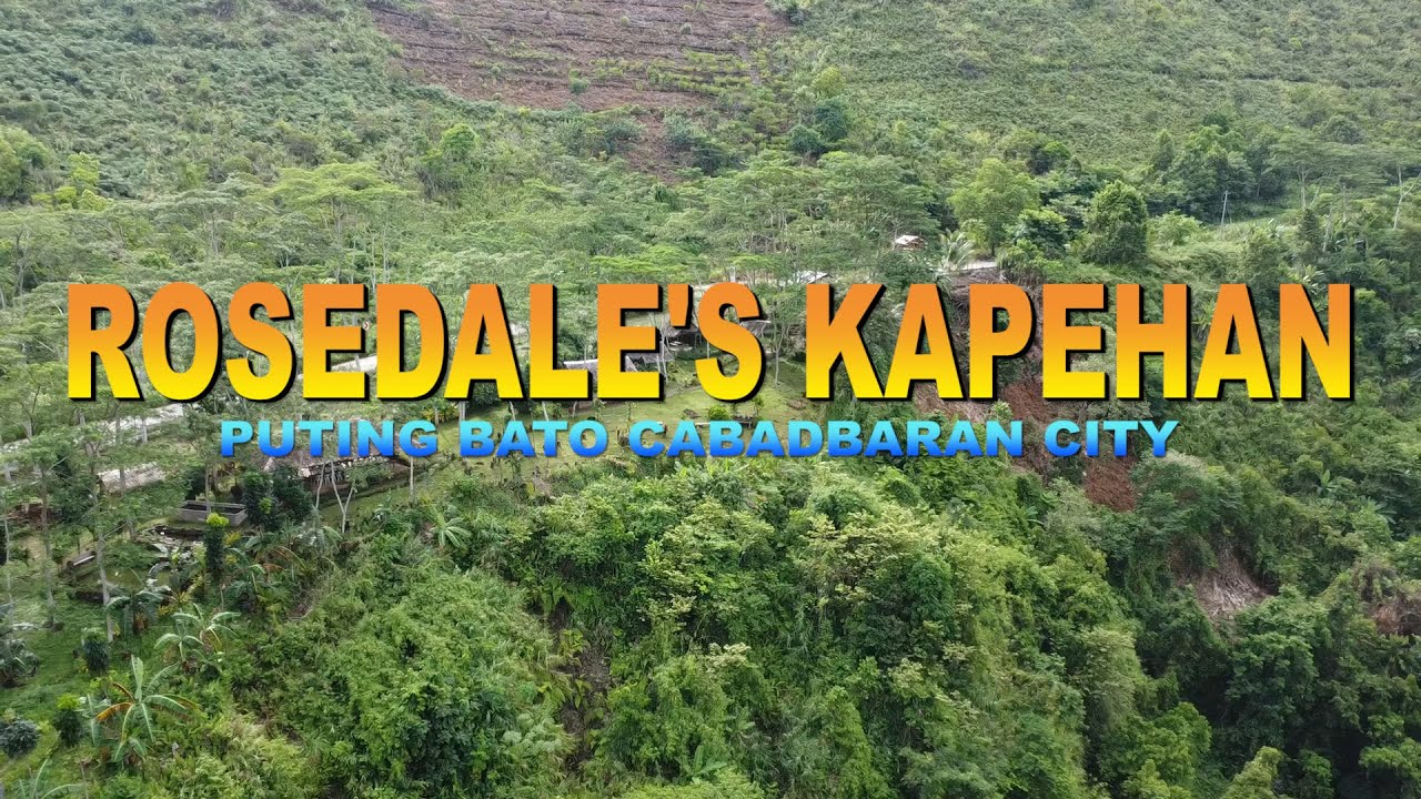 ROSEDALE'S KAPEHAN | PUTING BATO | CABADBARAN CITY - YouTube