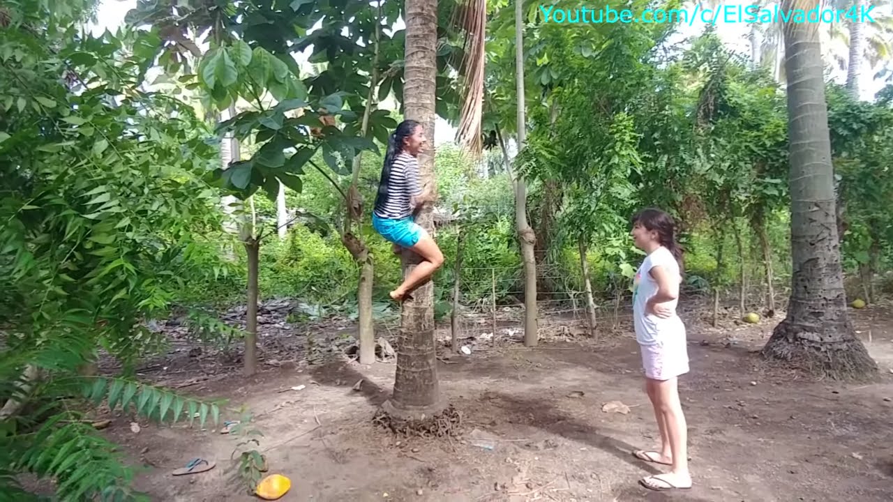 Trepando un palo de coco. Conocimos un nuevo suscriptor. Visita flash ...