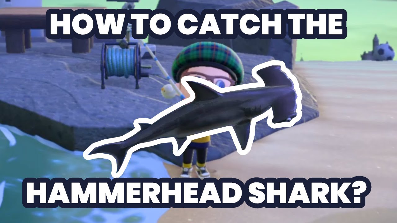 How to catch Hammerhead Shark in Animal Crossing New Horizons? - YouTube