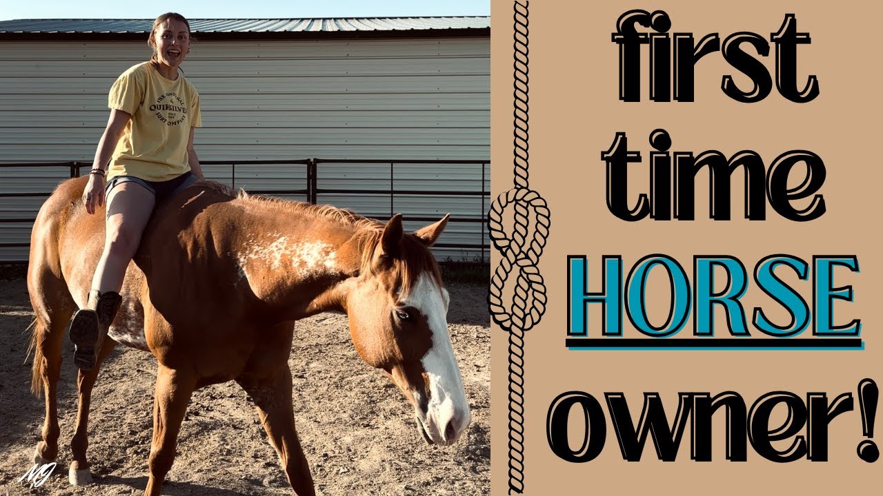 5 Things I've learned owning my FIRST Horse! - YouTube