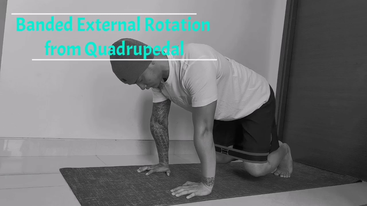 Activation Drills - Banded External Rotation from Quadrupedal - YouTube