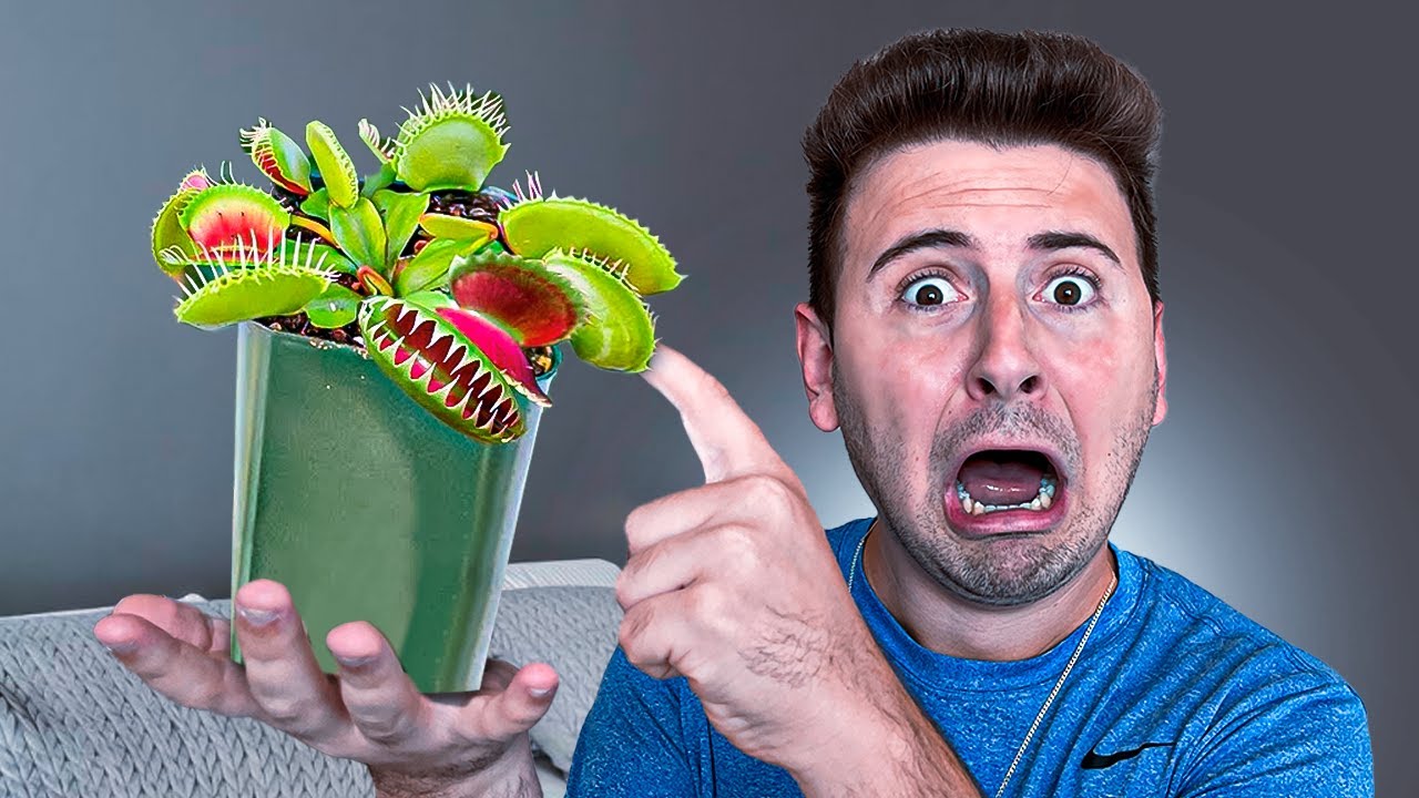 FUI ATACADO POR UMA PLANTA CARNÍVORA!! - YouTube