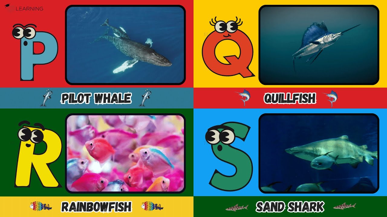 ABC Sea Creatures Song | A to Z Underwater Adventure for Kids 🐠🐙 | # ...