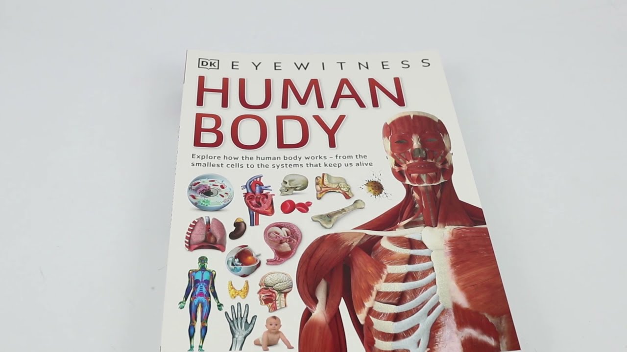 DK Eyewitness Collection 8 Books Set - YouTube