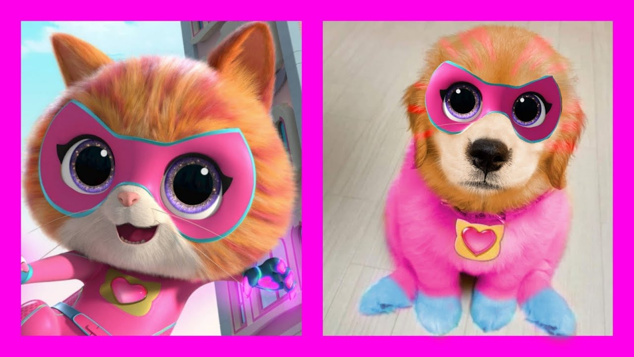 SUPERKITTENS AS PUPPIES IN REAL LIFE !!!!!! - YouTube