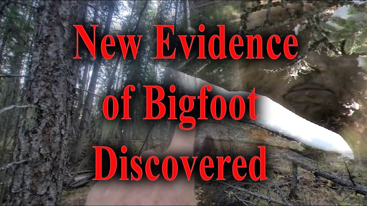 New evidence of Bigfoot Discovered - YouTube
