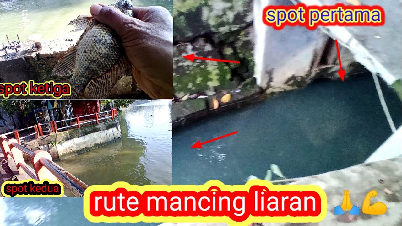 rute spot liaran surabaya//mancing ikan liar//mancing - YouTube