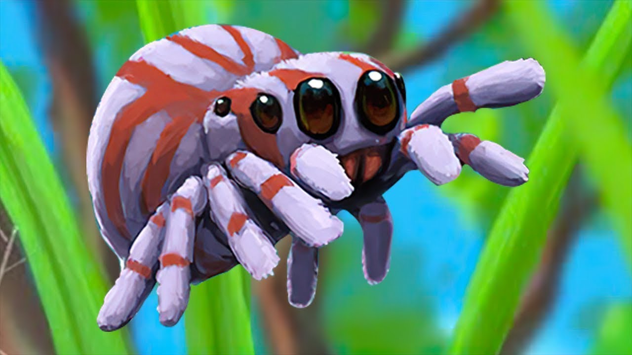 Webbed — Walkthrough (No Commentary) - YouTube