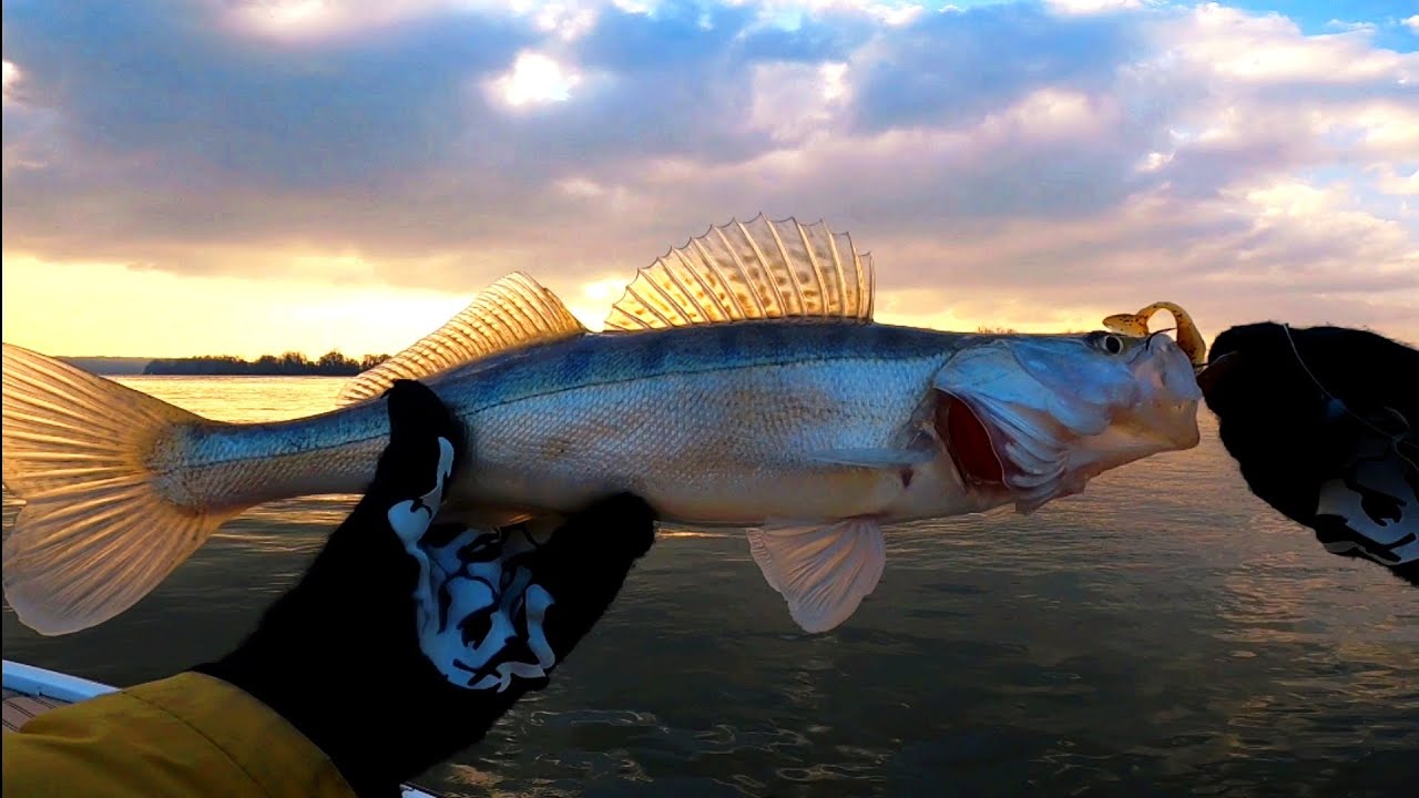 Dzigovanje,hladan februar(voda bistrija po neko dešavanje)#smudj # ...