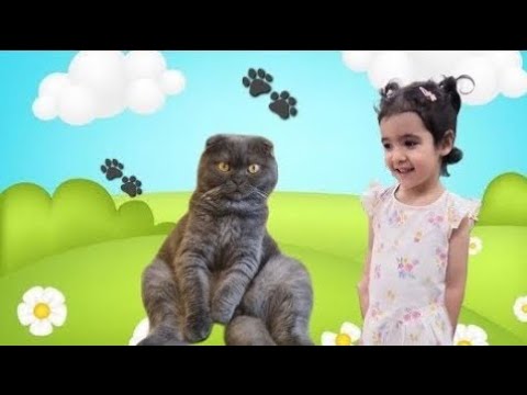 Humay və Pişiyi | Pişik videoları | Uşaqlar üçün əyləncəli videolar #kidsvideo