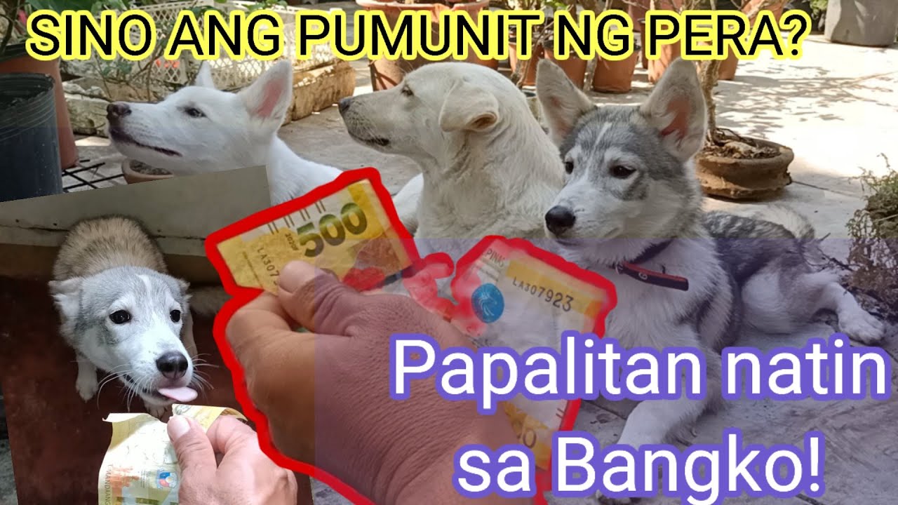 Punit na Pera? Pwedeng Papalitan sa mga Bangko - YouTube