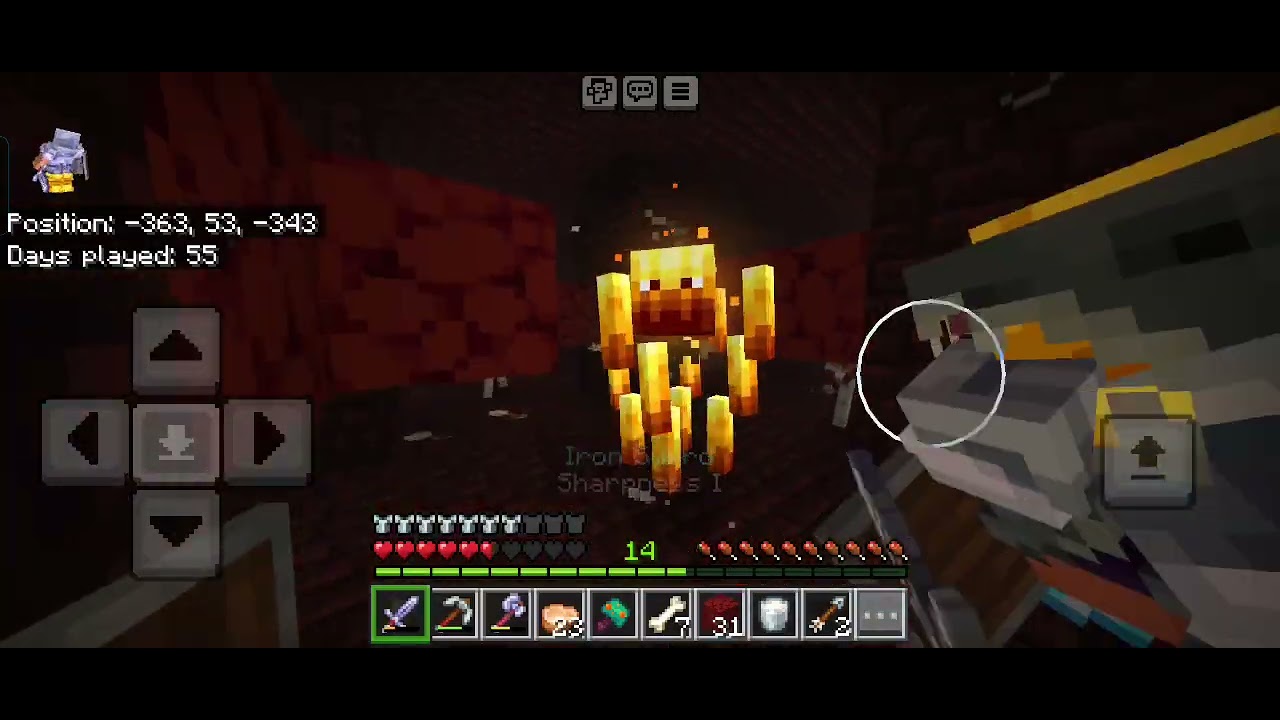 DUO world 2 ep#6:a nether revenge - YouTube