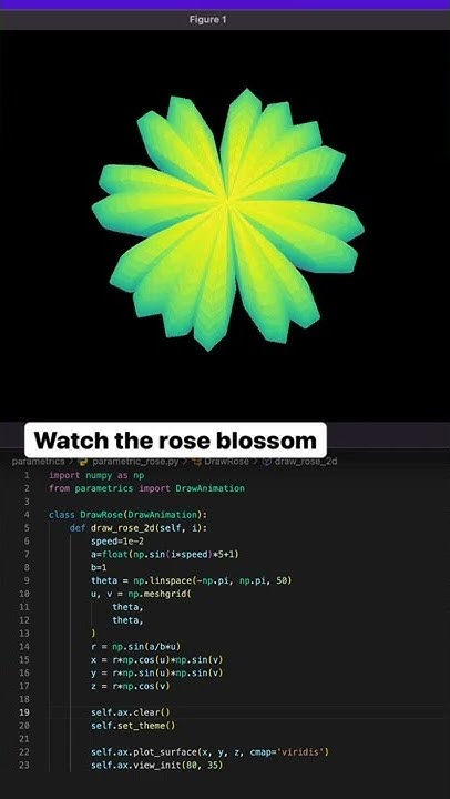Rose blossom animation using python. - YouTube