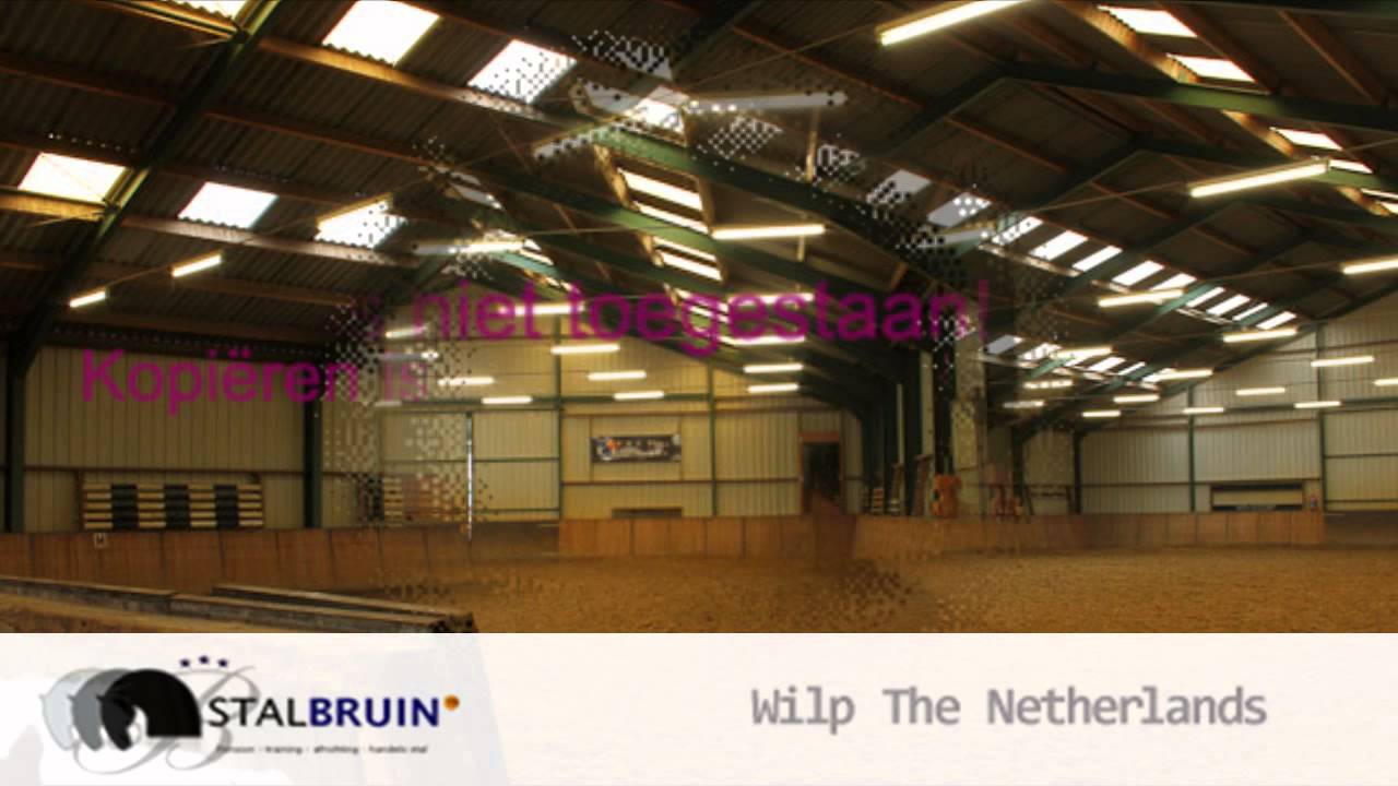 STAL BRUIN WILP THE NETHERLANDS - YouTube