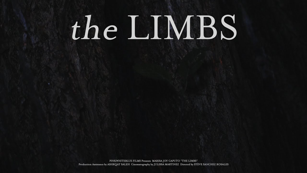 THE LIMBS (Horror Short Film) - YouTube