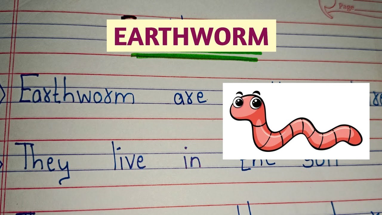 12 Lines On Earthworm Essay On Earthworm In English Few Sentences 12-lines-on-earthworm-essay-on-earthworm-in-english-few-sentences