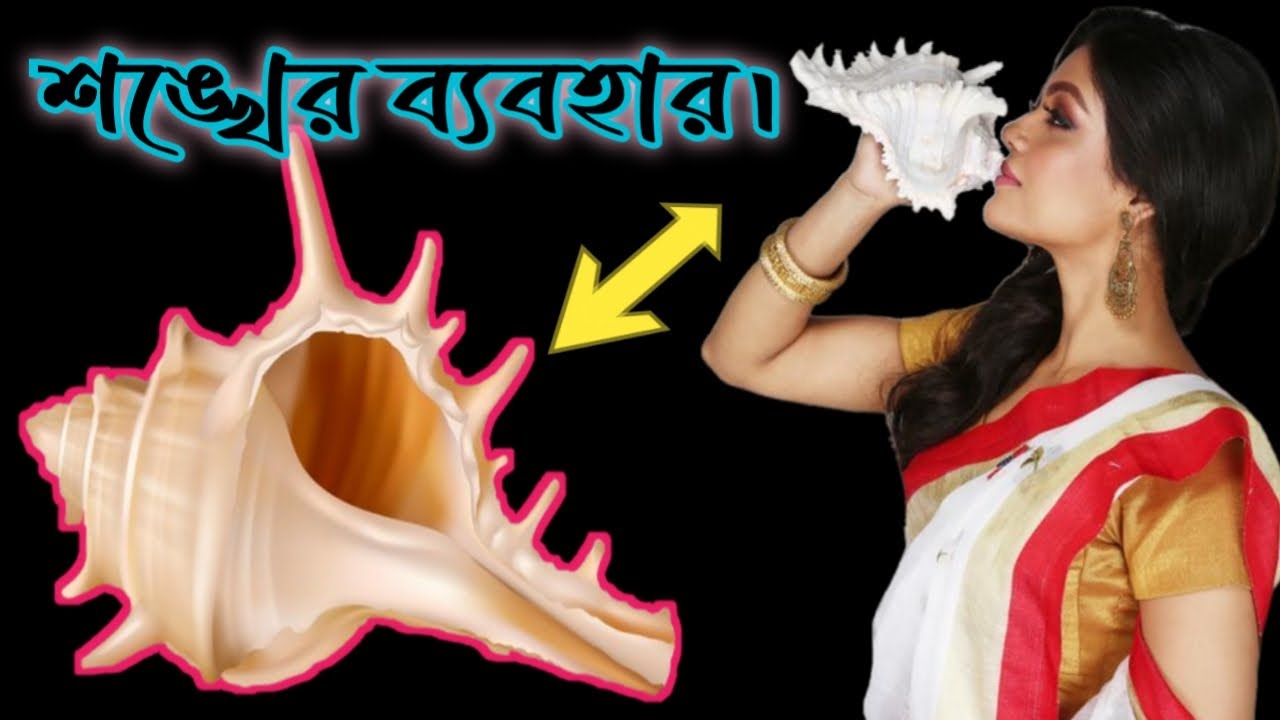 শঙ্খের ব্যবহার।পূজা অর্চনায় কেন শঙ্খ বাজানো হয়।শঙ্খ কি ভাবে সৃষ্টি ...