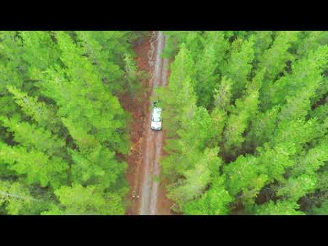 Vulcan State Forest - YouTube