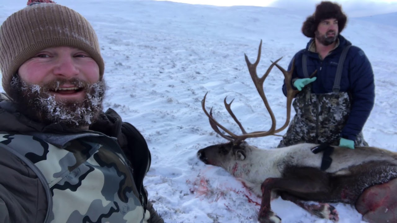 Winter Caribou Hunt - YouTube