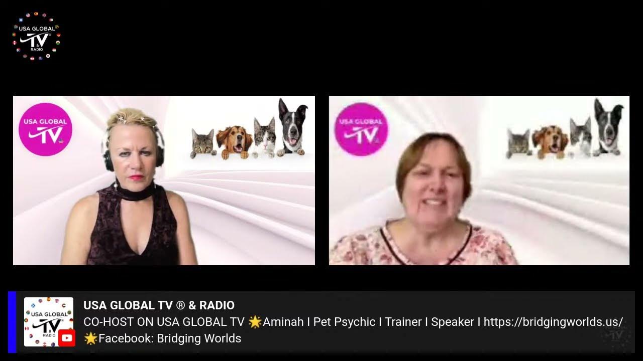 THE PROS AND CONS OF MICROCHIPPING YOUR PET - YouTube