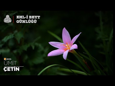 Ehlibeyt Günlüğü: ‘Ali onların en üstünüdür’